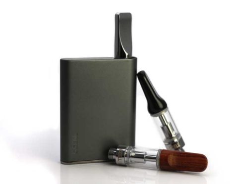 CCell Palm Battery | Industry's Leading CCell Supplier - VPM.com