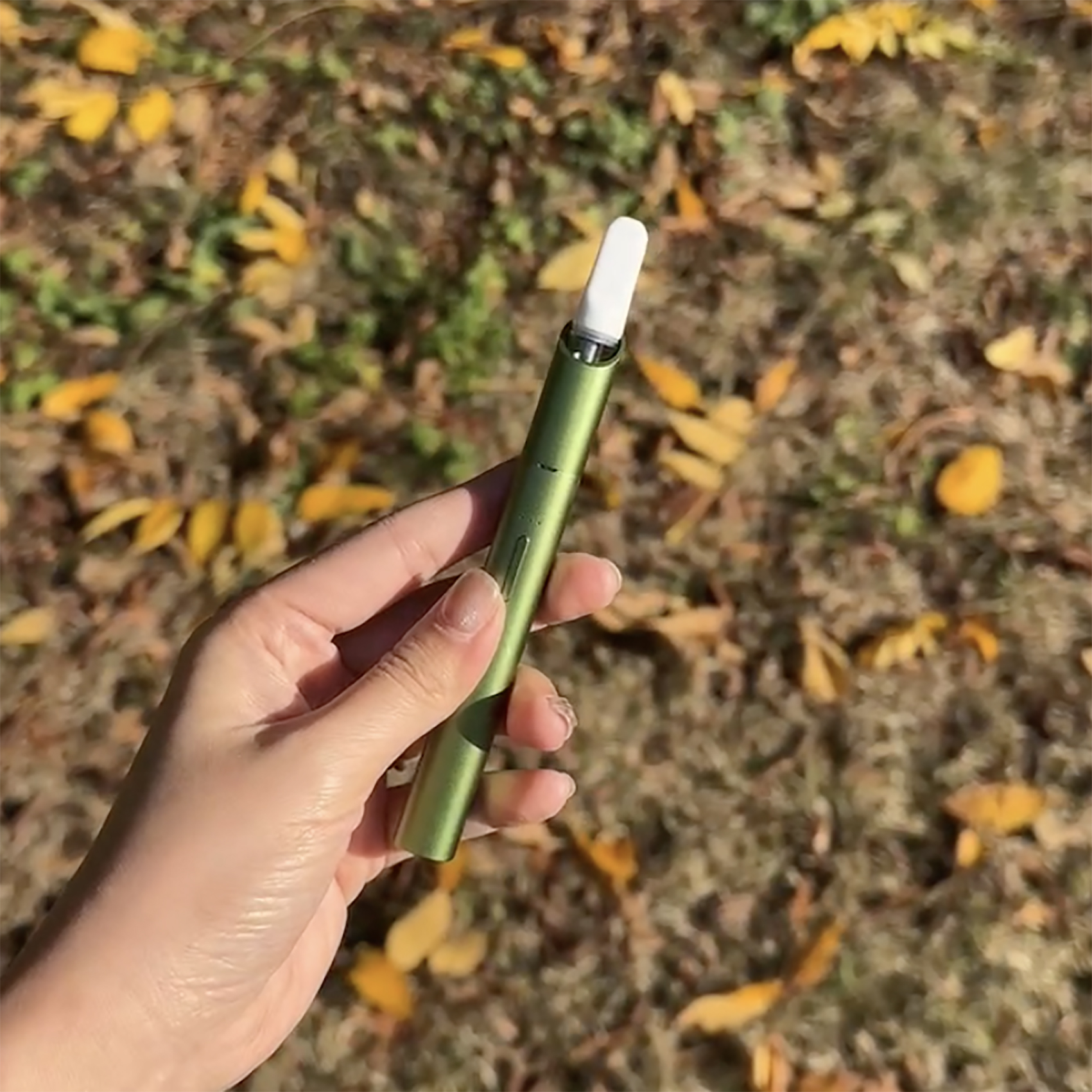 Variable Voltage Batteries for Oil Cartridges | Best Selection from VPM.COM